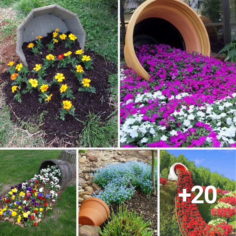 Explore 25 Creative and Stunning Spilled Flower Pot Designs - ZUGNEWS