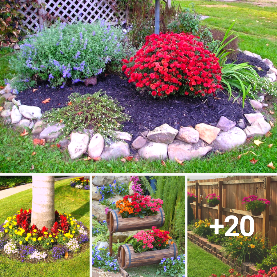 30 beautiful flower beds that you'll like - ZUGNEWS