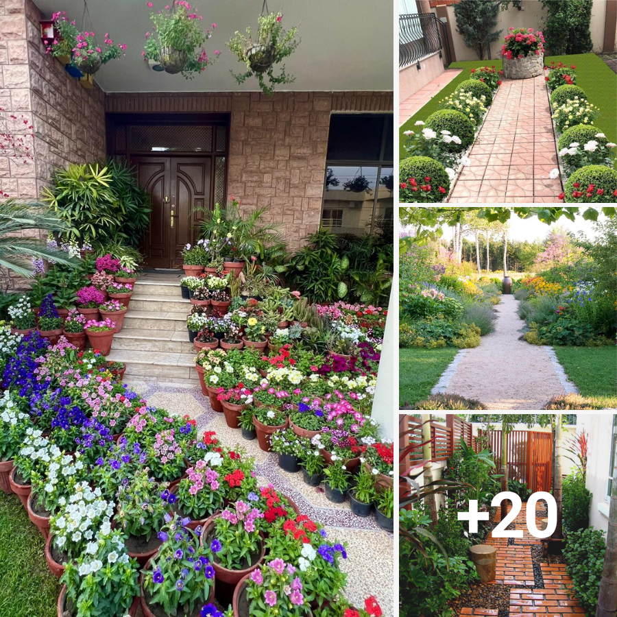 30 Great Pathway Ideas For A Beautiful Home Garden - ZUGNEWS