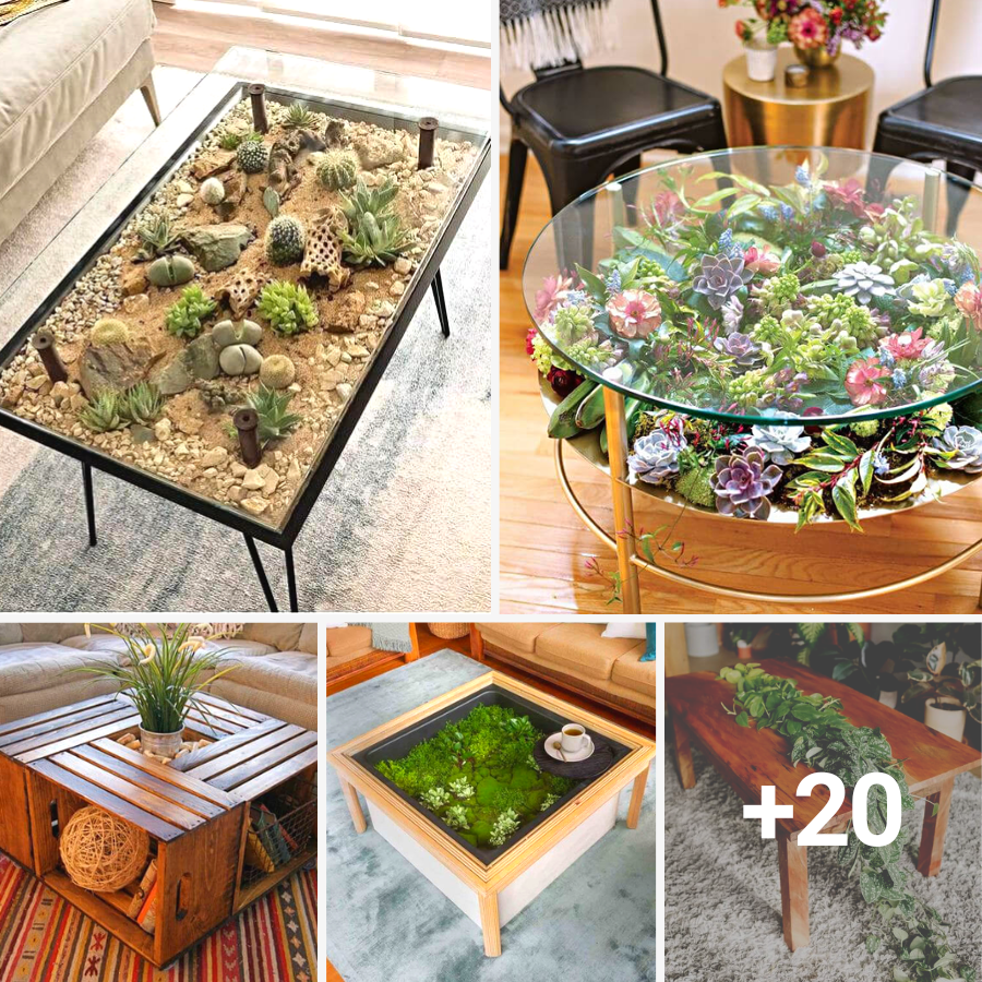 30 Amazing Plant Table Ideas That You’ll Like - ZUGNEWS