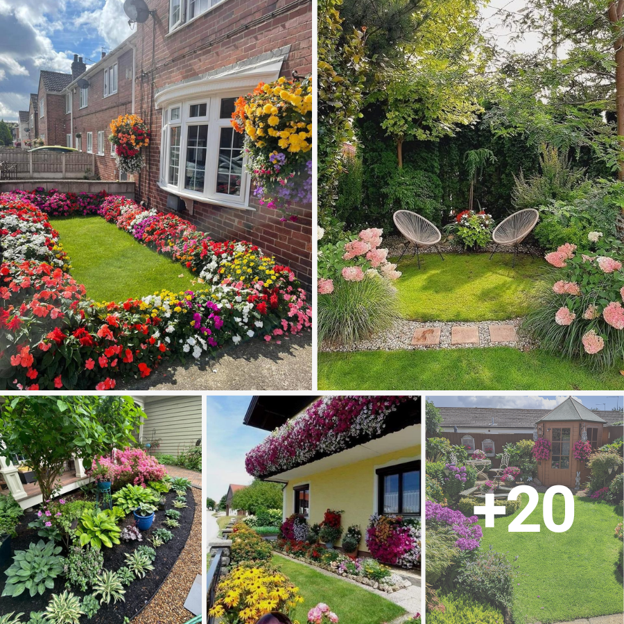 20 Ideas to Create a Beautiful Garden That Leaves a Lasting Impression ...