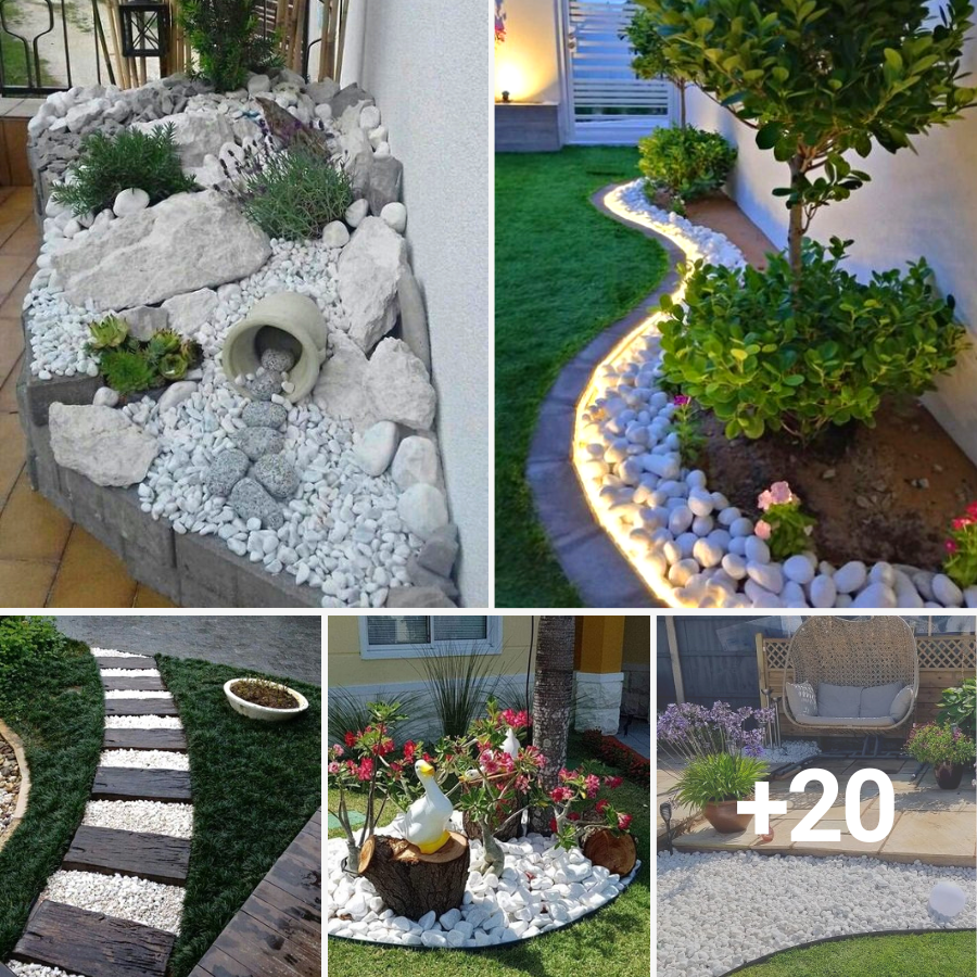 25 Beautiful Gardens with White Rocks Ideas - ZUGNEWS