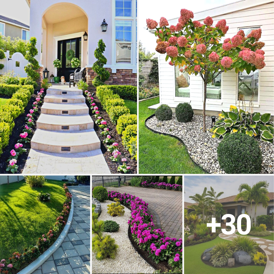 Creative Landscape: 35 Font Yard Ideas to Transform Your Outdoor Space ...