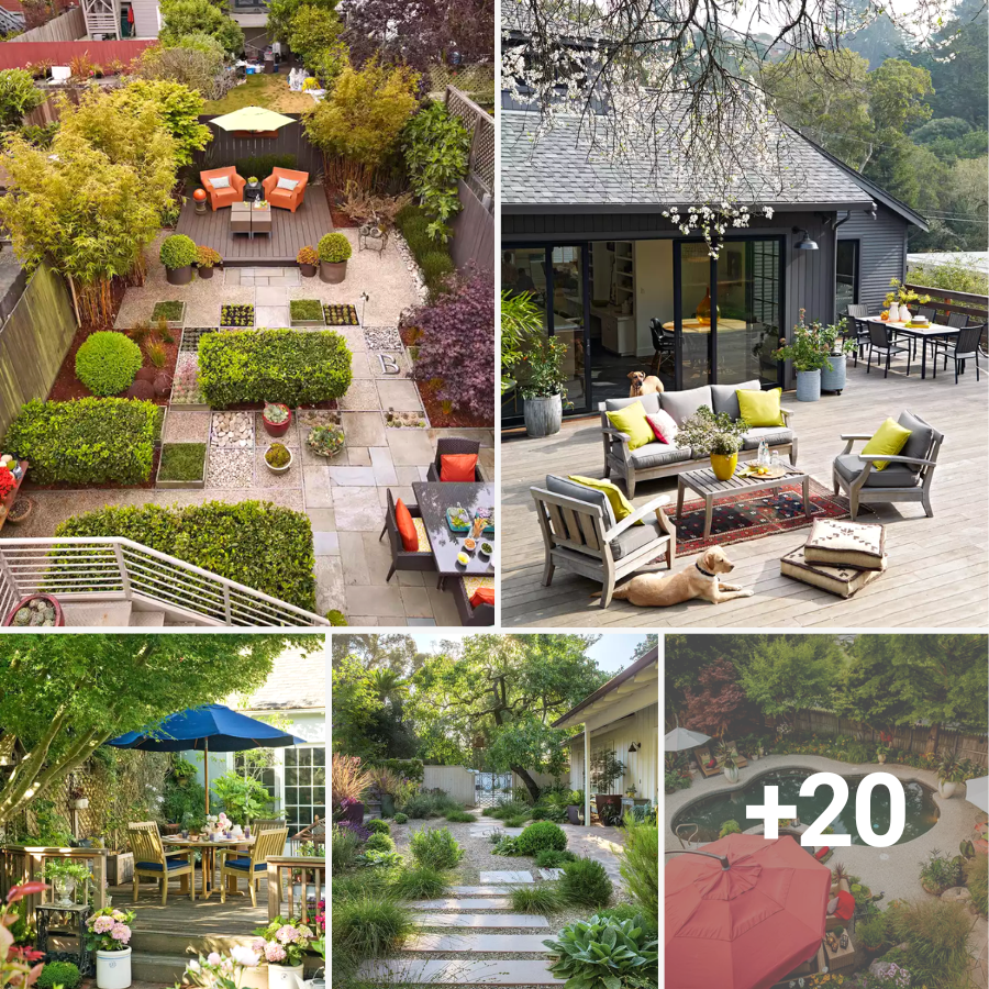 20 No-Grass Backyard Ideas for Designing a Beautiful Outdoor Space ...