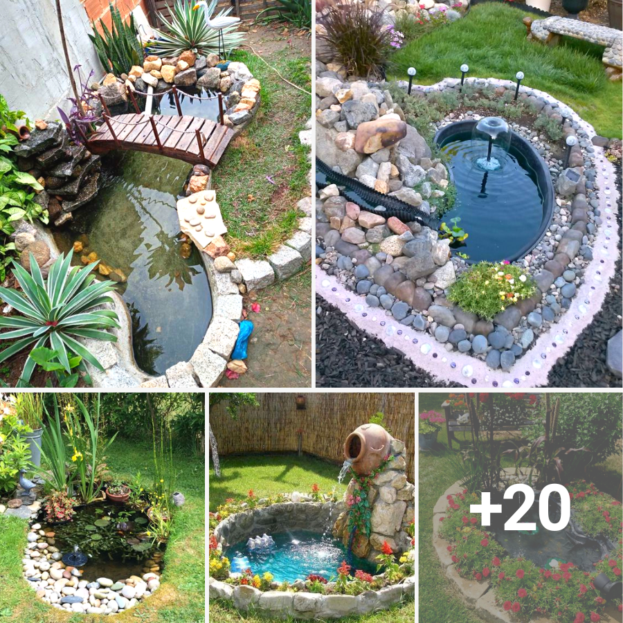 20 Inspiring Small Garden Pond Design Ideas - ZUGNEWS