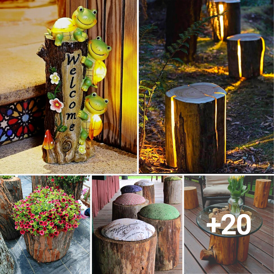 25 DIY Tree Stump Ideas To Spruce Up Every Corner - ZUGNEWS