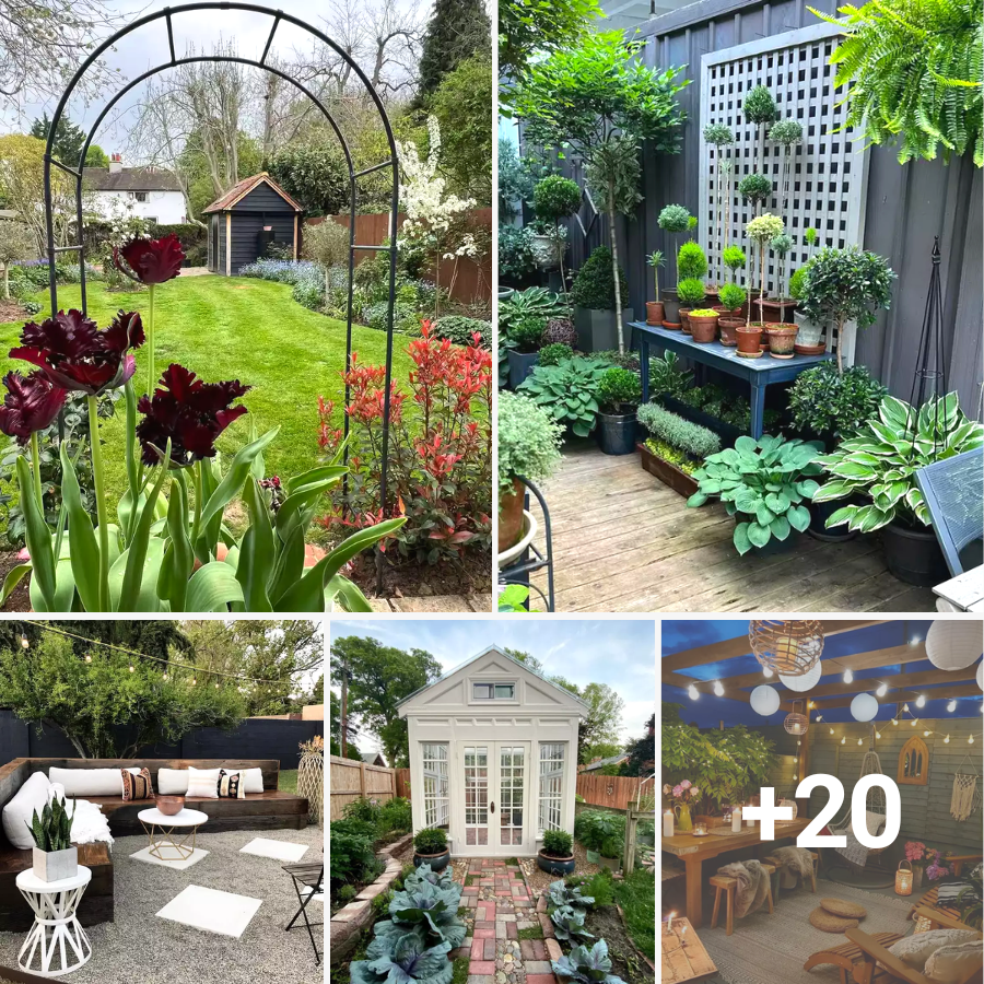 30 Great Backyard Ideas On a Budget - ZUGNEWS