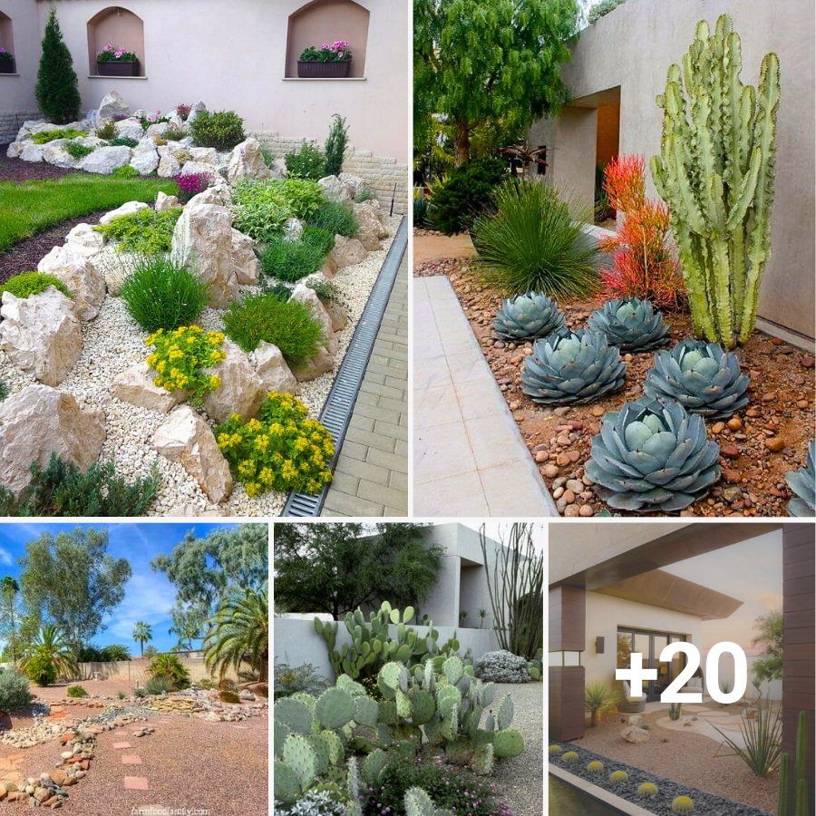 20 Beautiful Desert Landscape Ideas That Will Take Your Breath Away ...