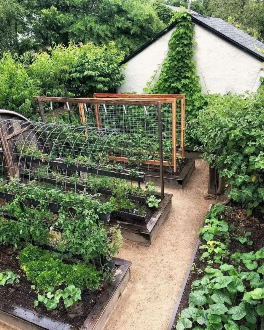 7 Backyard Garden Layout Ideas To Create Your Own Outdoor Haven of ...